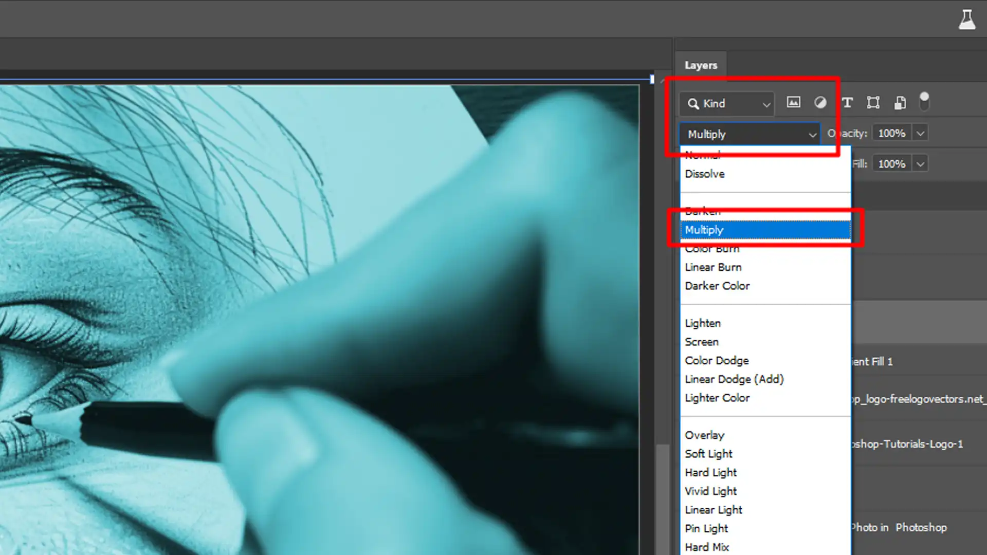 What is Opacity in Photoshop : A Beginner's Guide - Lightroom Photoshop ...
