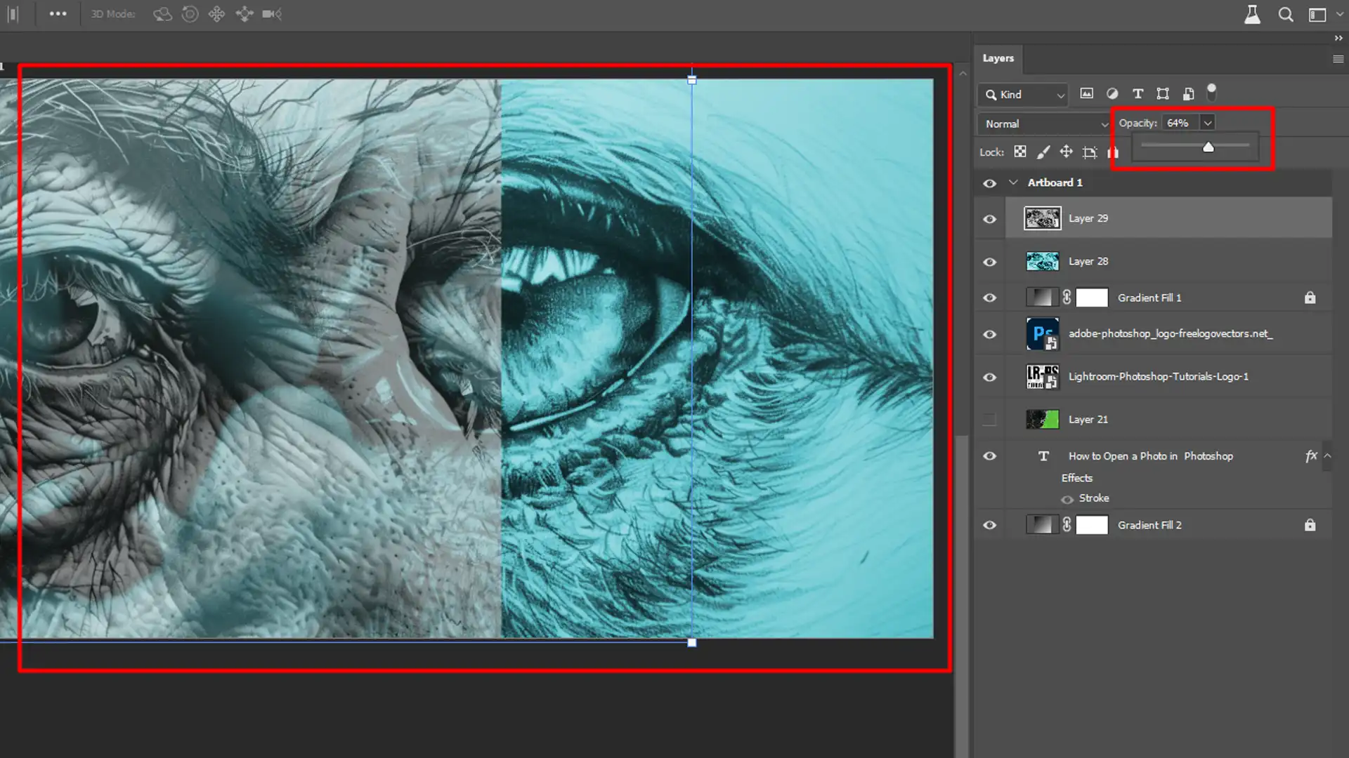 What is Opacity in Photoshop : A Beginner's Guide - Lightroom Photoshop ...